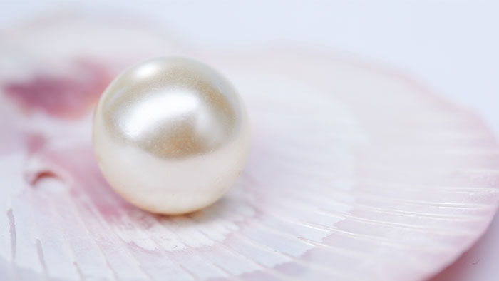 The Priceless Pearl - Kingdom Media Studios